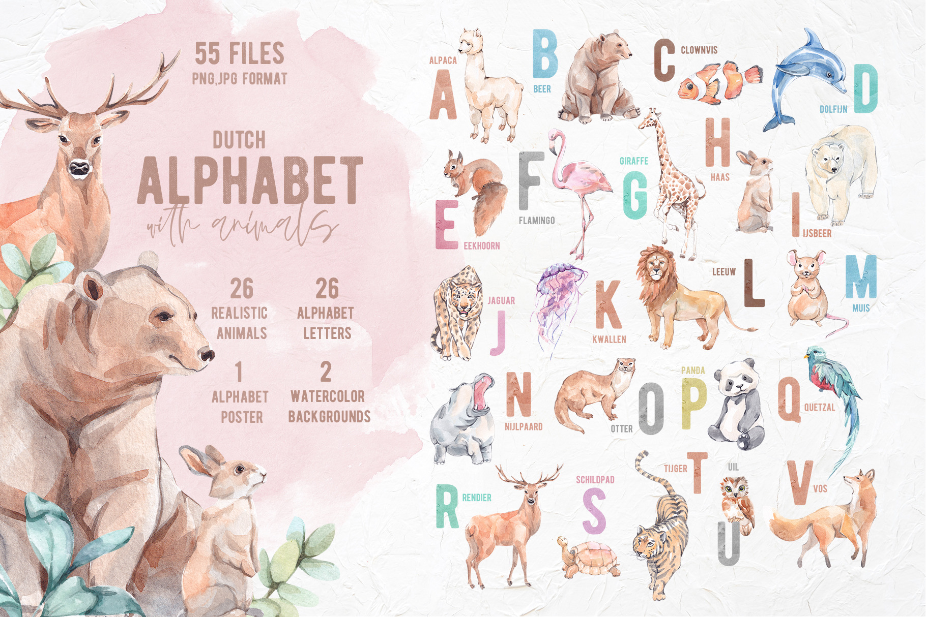 Dutch Alphabet with Animals ABC, an Animal Illustration by VerAna