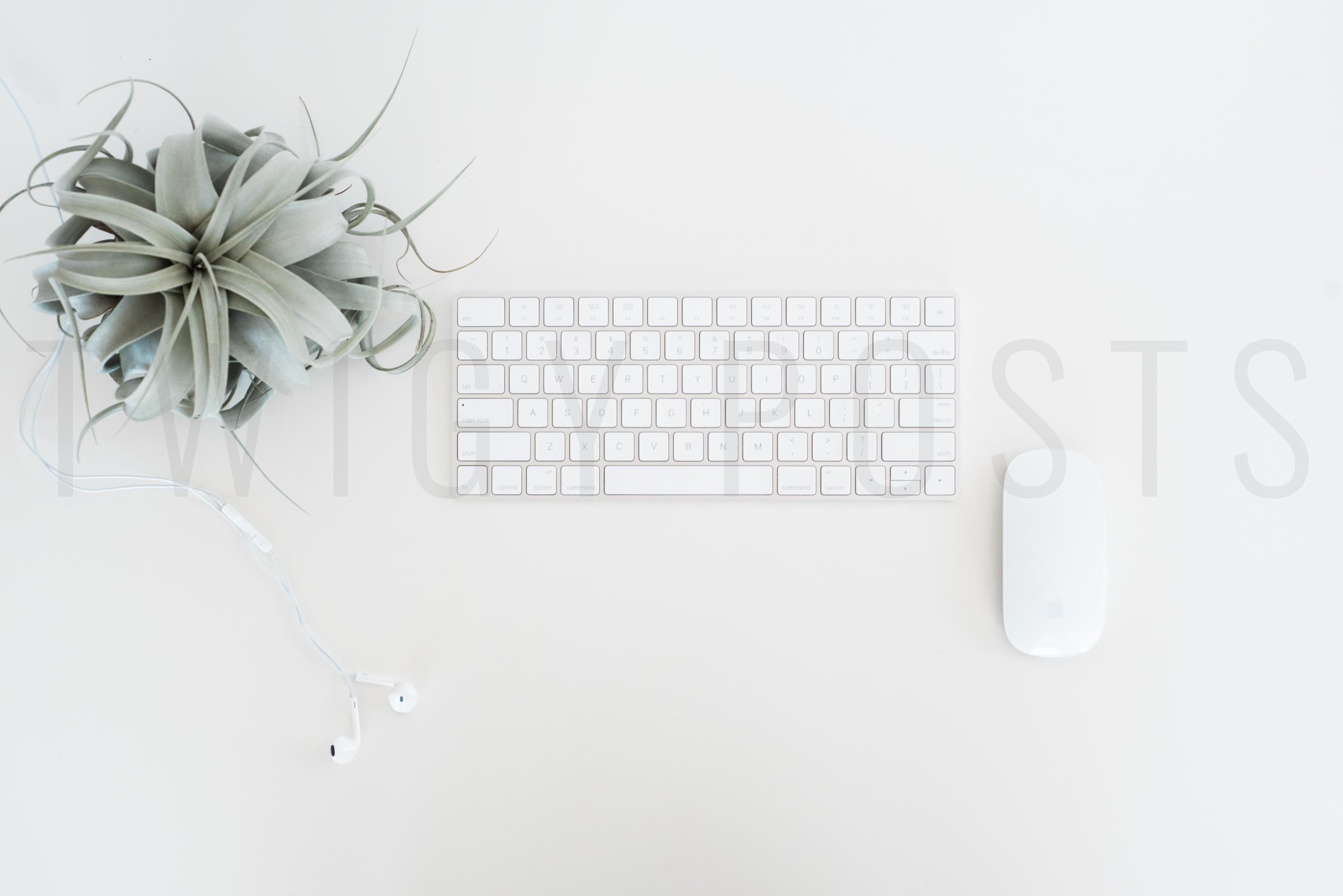 Minimal Air Plant Desk Scene Photo, a Device Mockup by ...