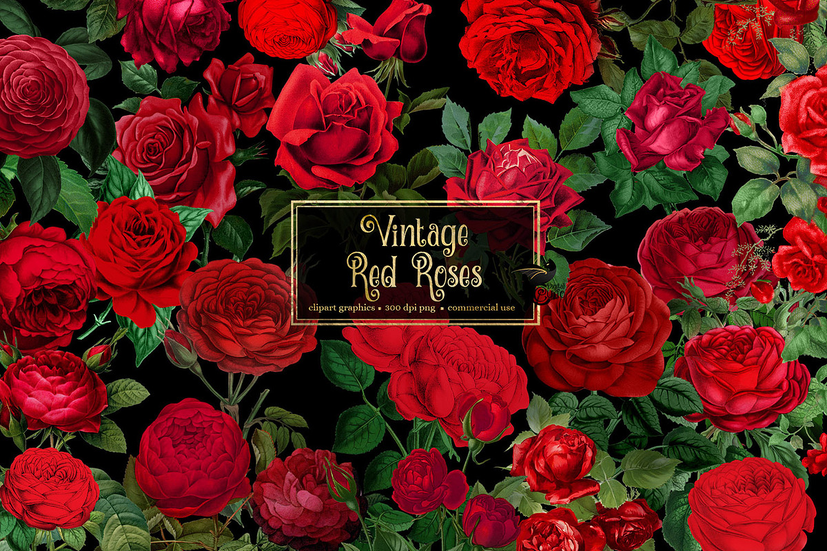 Vintage Red Roses Clipart, an Illustration by Digital Curio