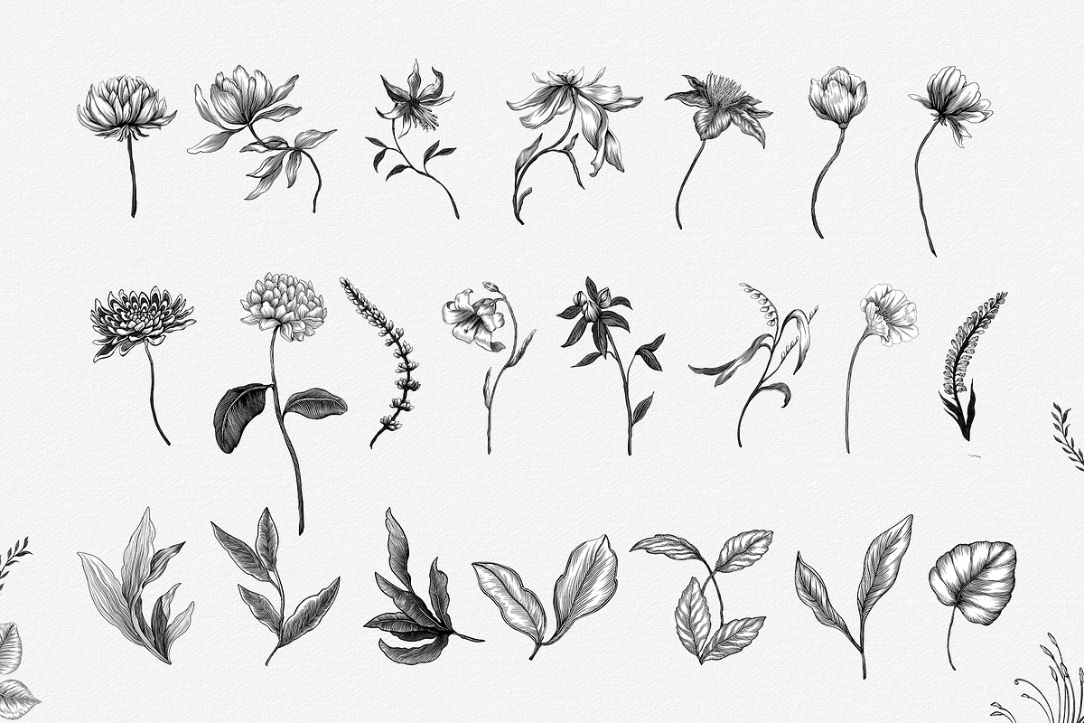 The Florist Secret Garden, Patterns, a Pattern Graphic by Ekaproeka