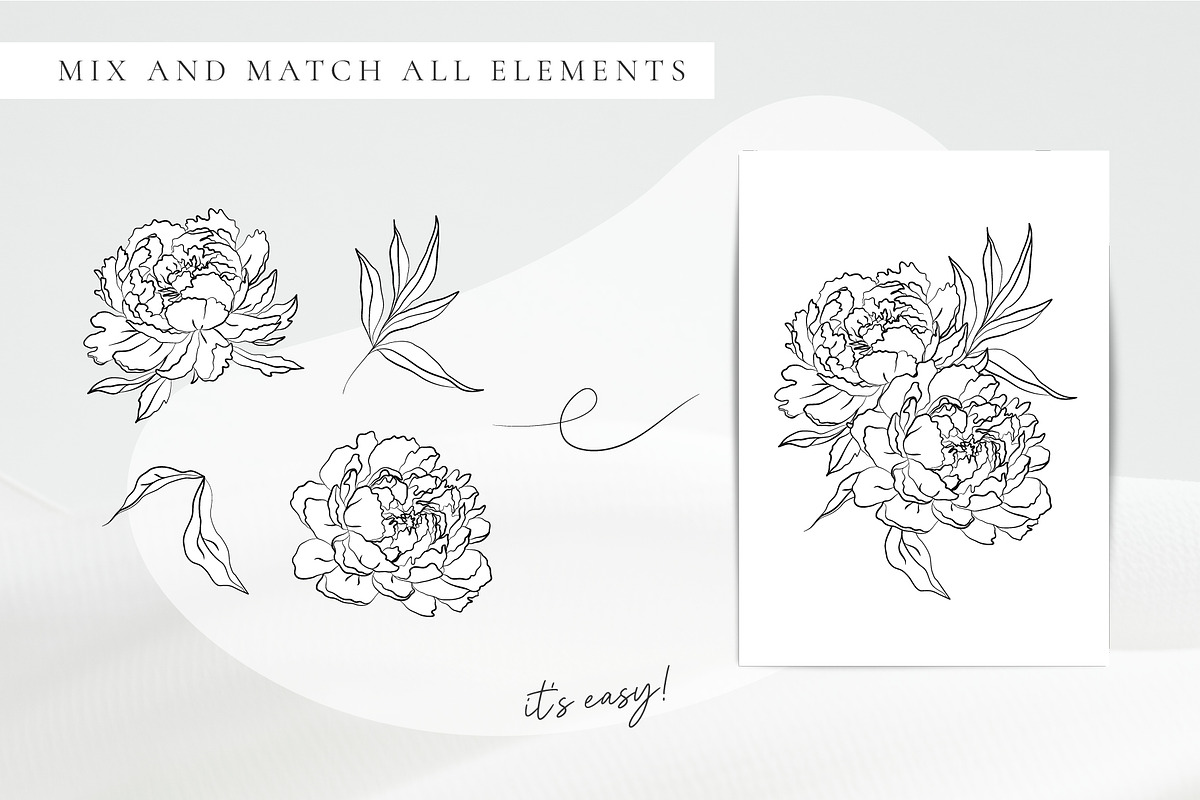 Line Art Peonies Illustrations