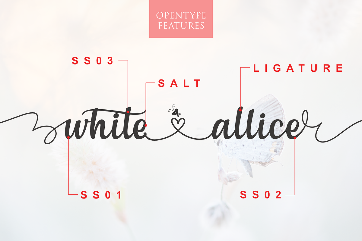 white allies - a beauty script font, a Script Font by Dumadistyle