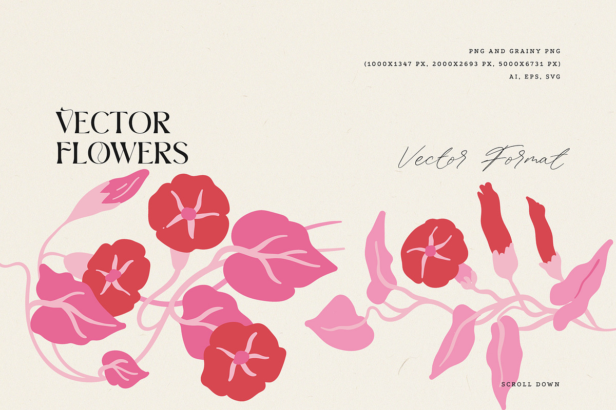 Botanica - Poster Builder
