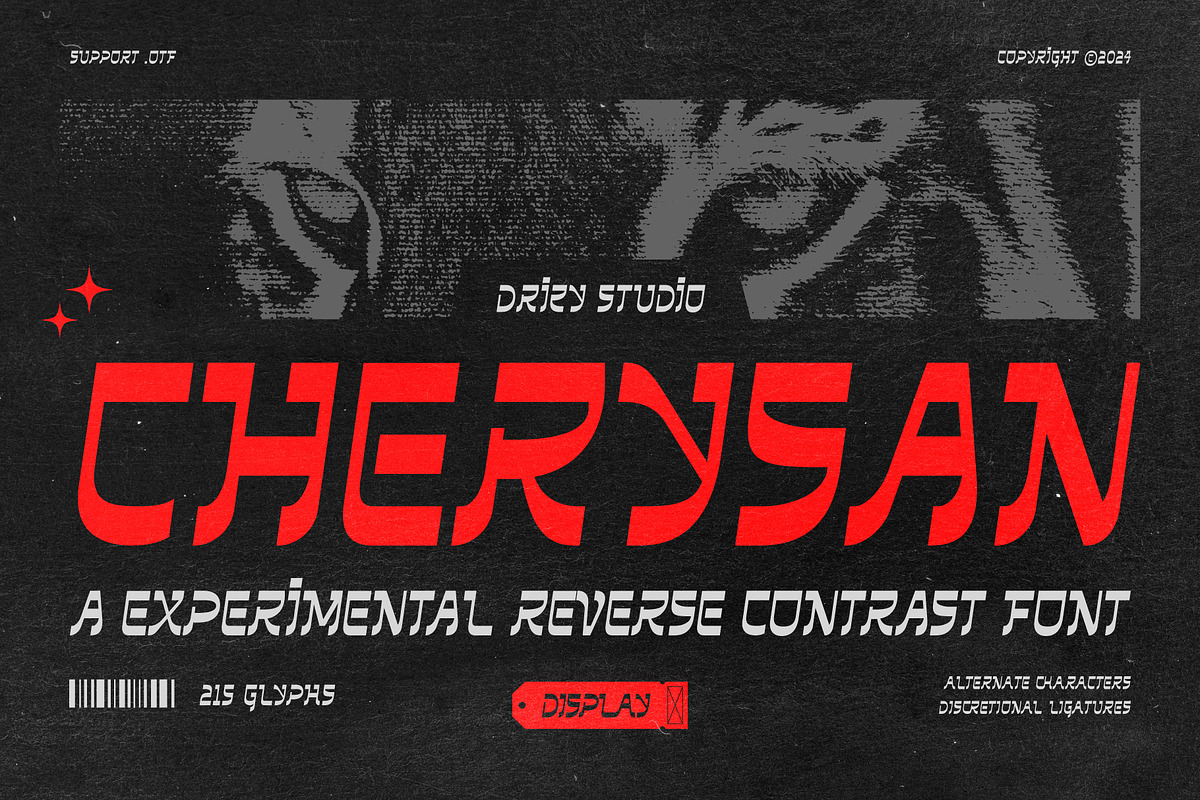 Cherysan - Experimental Reverse Font, a Slab Serif Font by Drizy