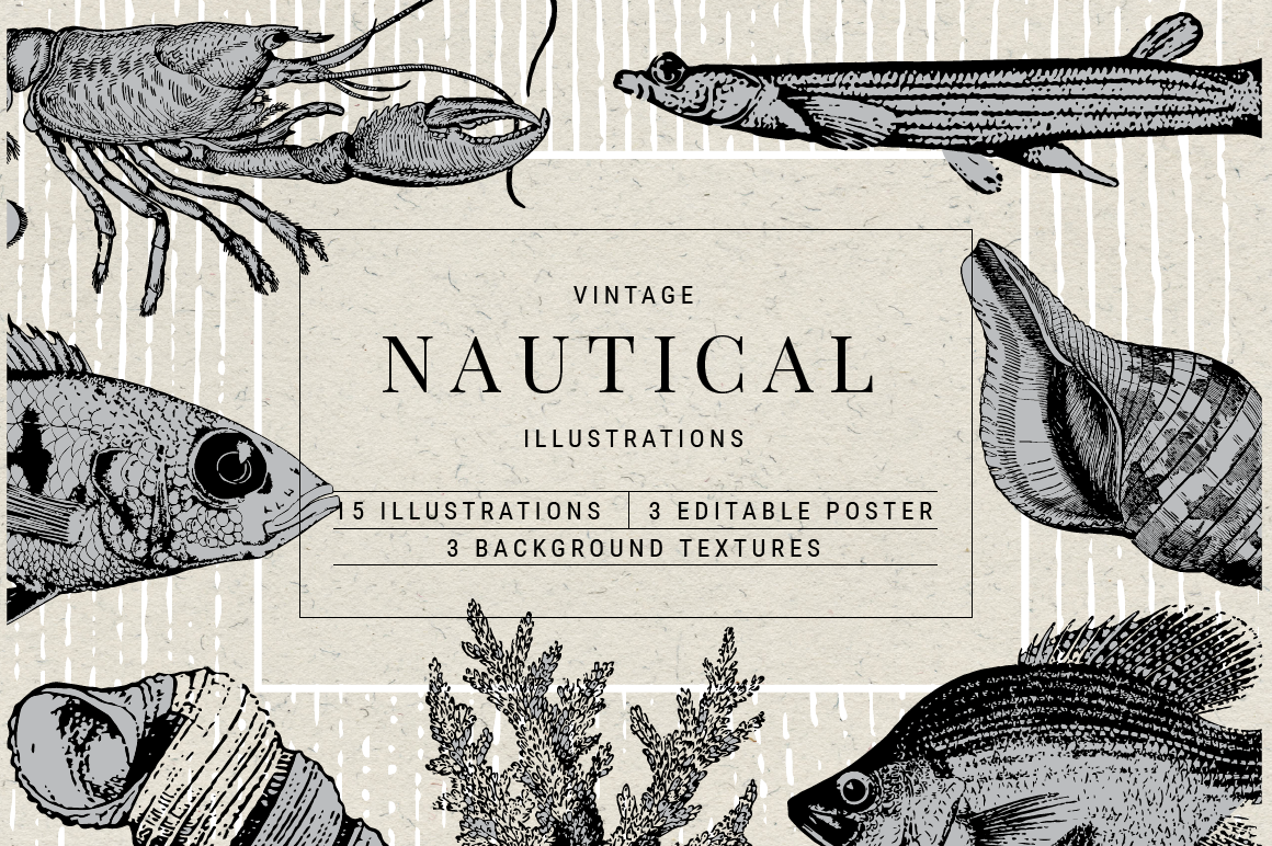 Vintage Nautical Graphics, an Illustration by re.source | Creative Market