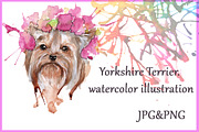 Yorkie. Watercolor illustation., an Animal Illustration by luchioly