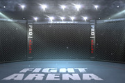 Fight Arena, a Sports & Recreation Photo by MS design