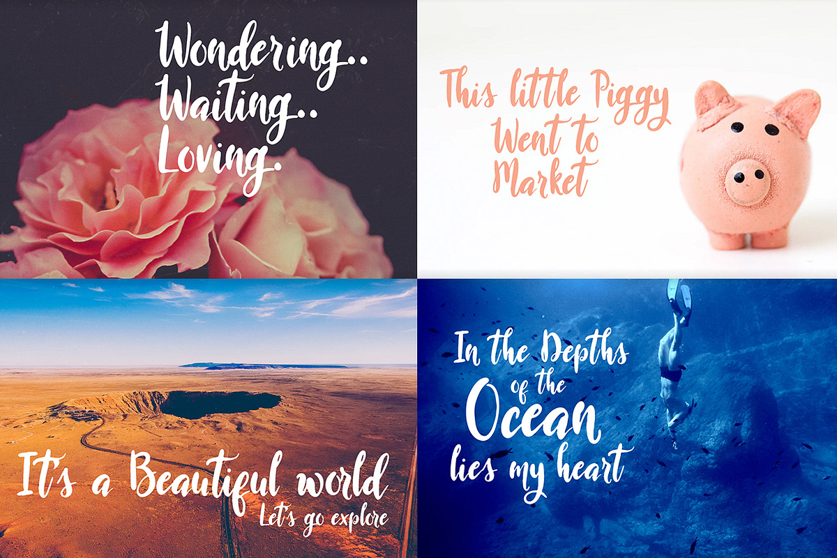 The Smashing Font Bundle, a Font by Layerform Design Co.