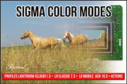 Sigma Color Modes profiles, a Plug-in Add-On by Raztrend