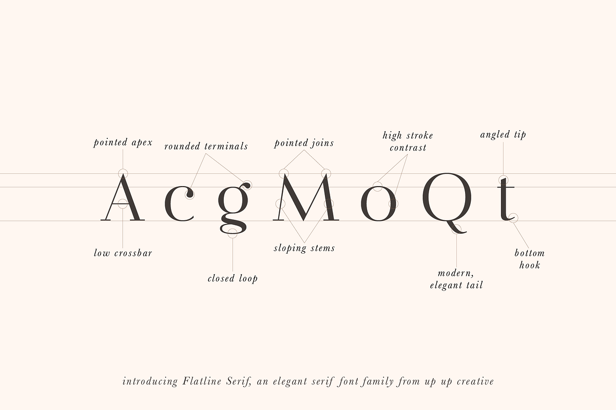 Flatline Serif Complete - 16 fonts, a Serif Font by Up Up Creative