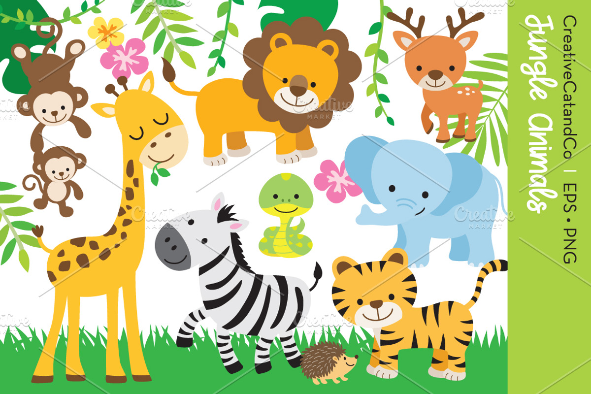 Jungle Animals Vector Illustration, an Animal Illustration by ...
