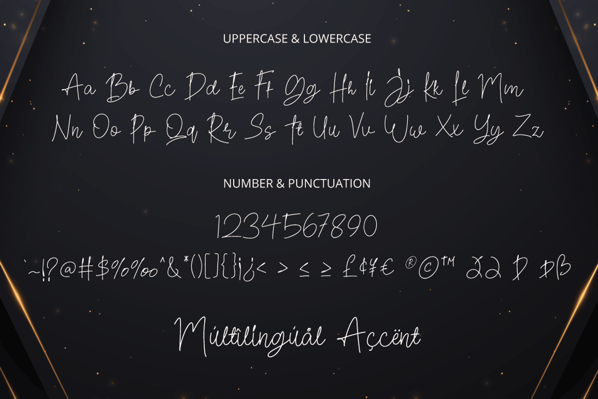 Pilot Signature Font, a Script Font by Attype | Creative Market