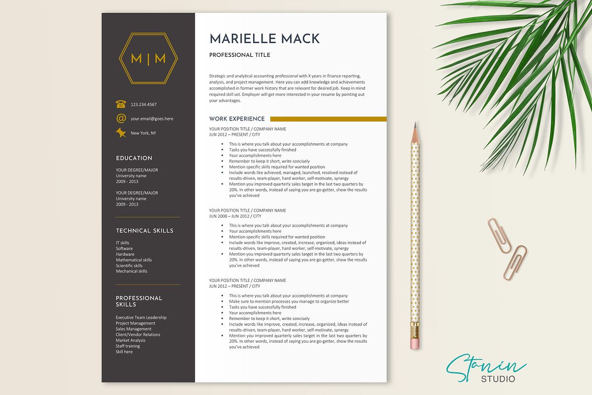 Elegant Resume Template, a Resume Template by Stanin Studio