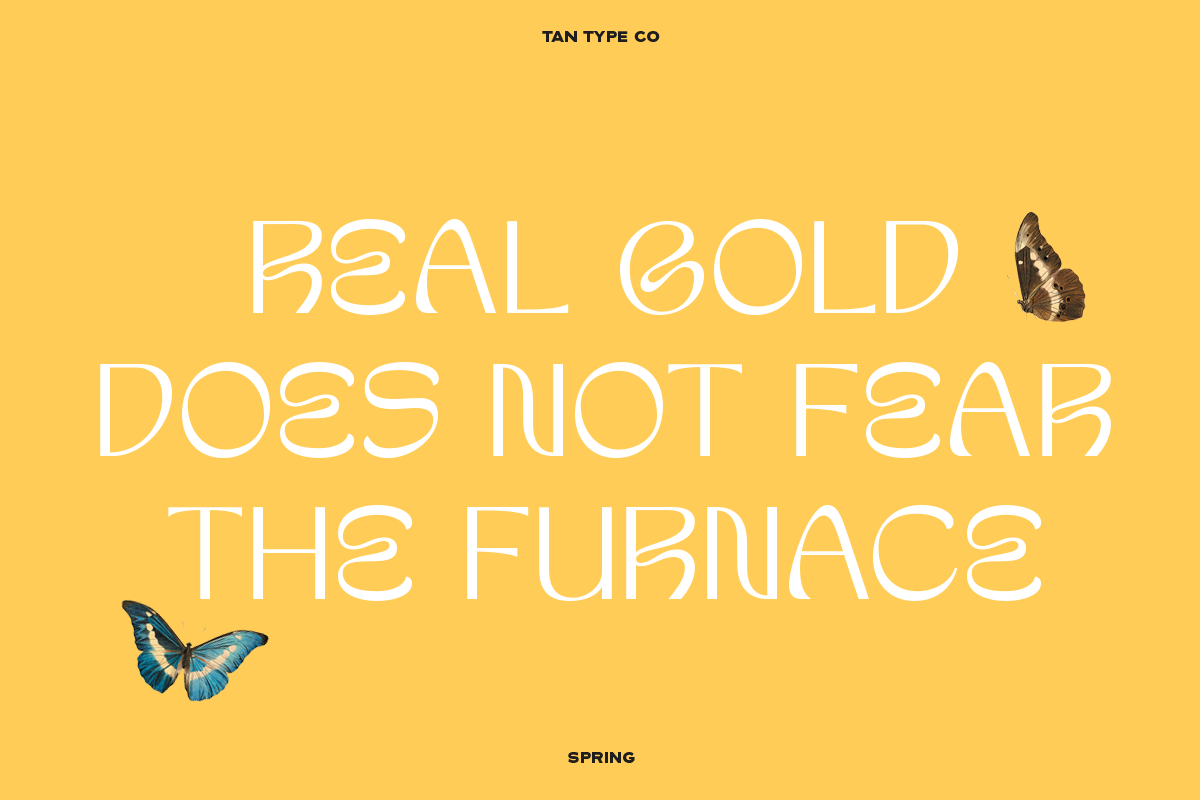 TAN-SPRING, a Sans Serif Font by TanType