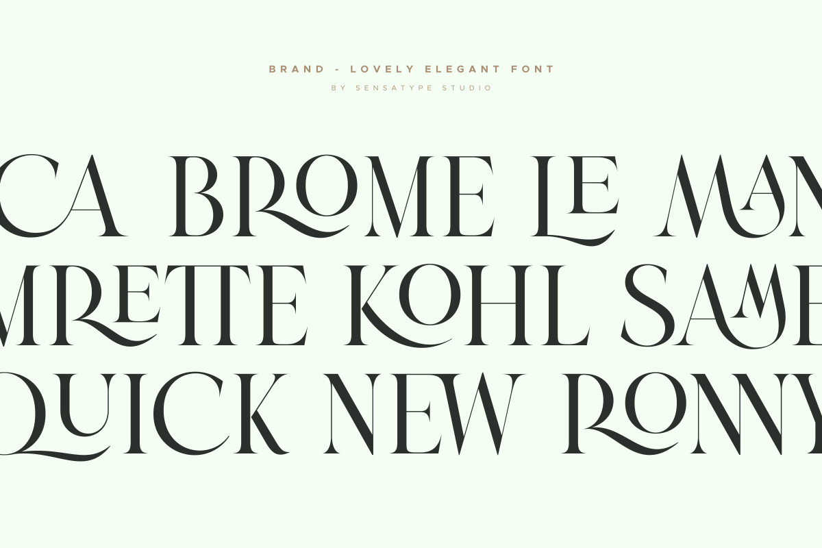 Brand - Lovely Elegant Font, a Serif Font by Sensatype