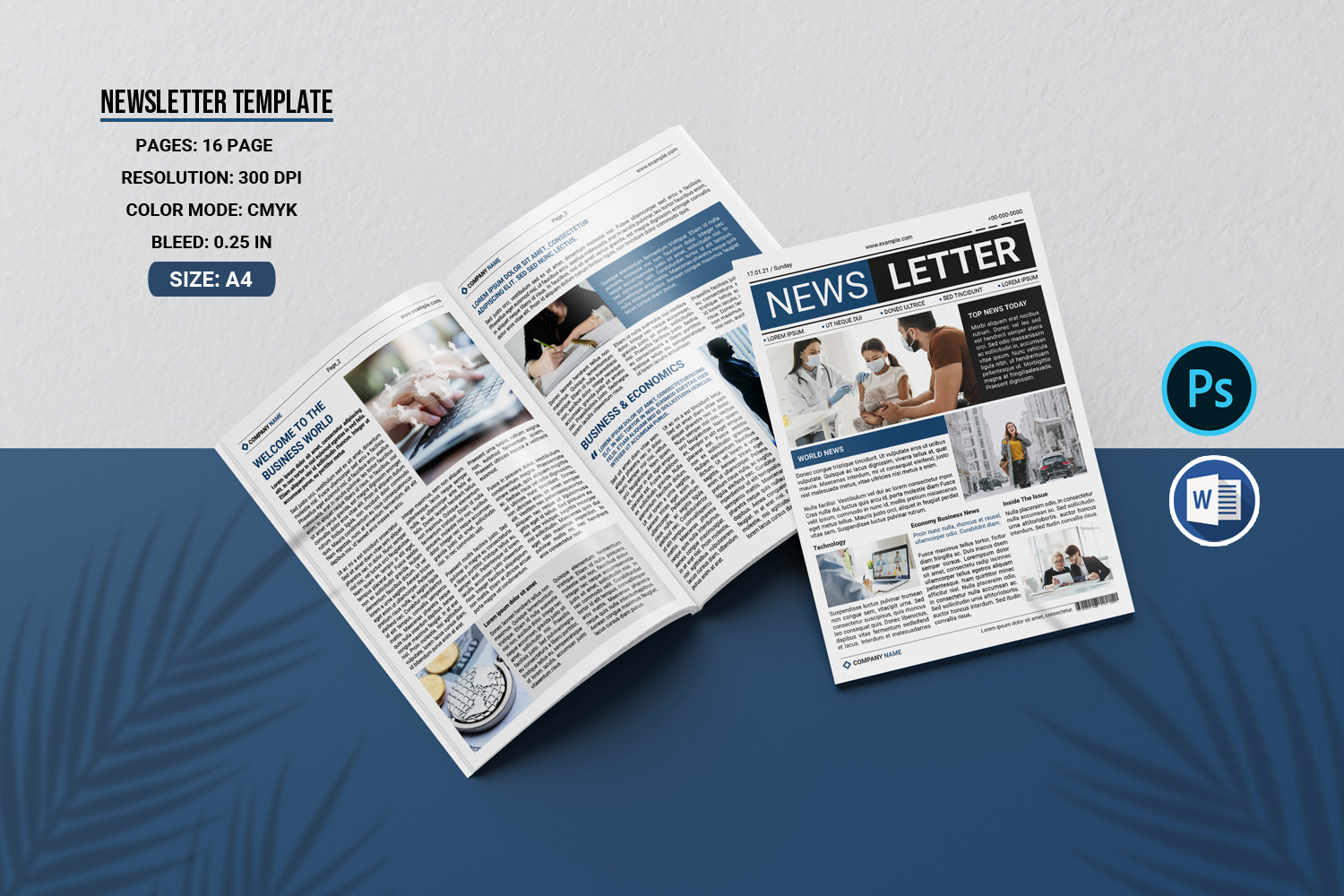 Newsletter Template V06, a Brochure Template by retrographix