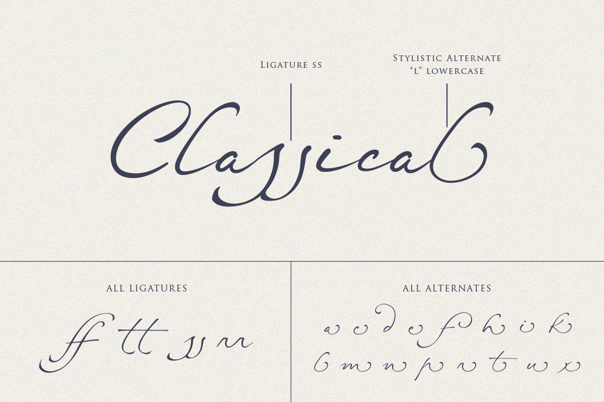 Netherfield | A Classic Script