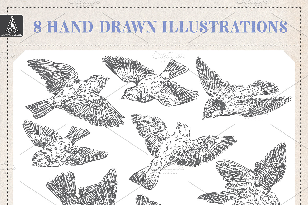 Hand Drawn Bird Illustration Pack, an Illustration by Lizzy Dee Studio