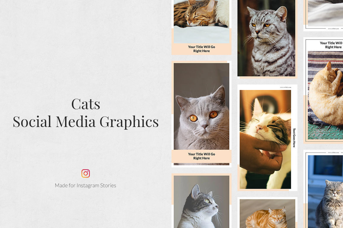 Cats Instagram Stories, a Social Media Template by Social Corner Graphics