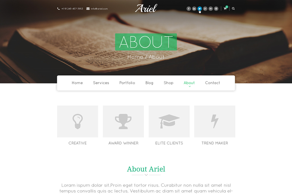 Ariel - Website PSD Template, a Websites & App Template by Holiday Designs