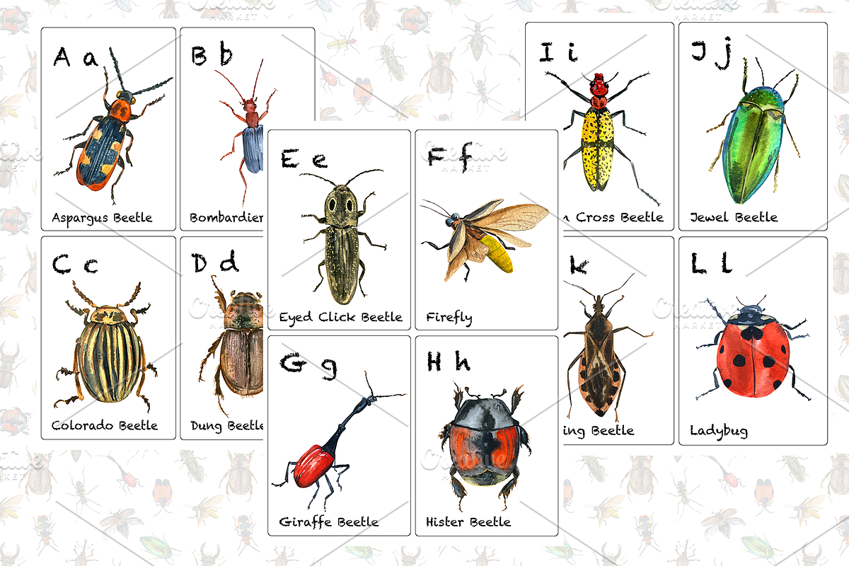 ABC Beetles Flashcards, an Education Illustration by Tati Bordiu