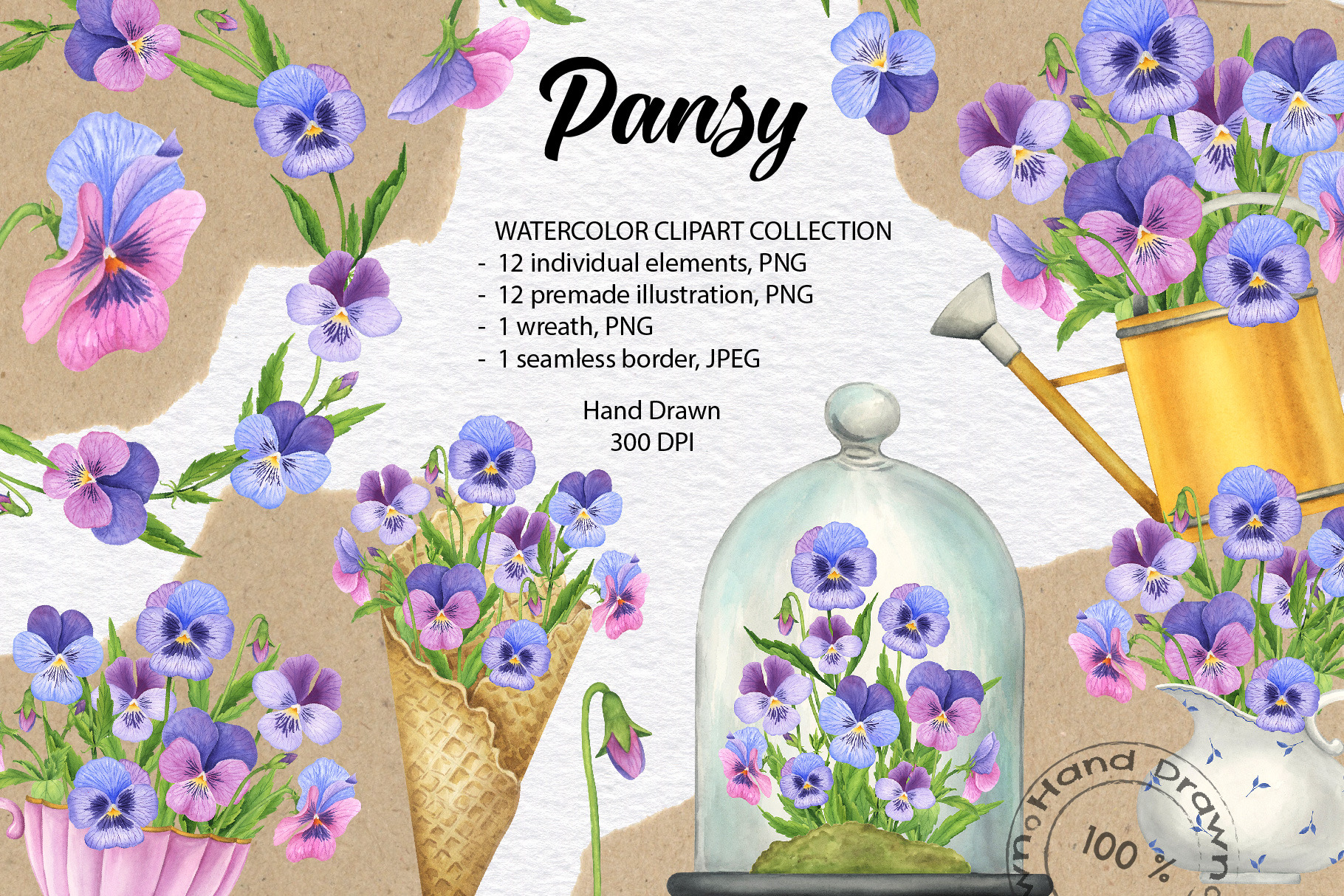 Pansy Watercolor Hand drawn set