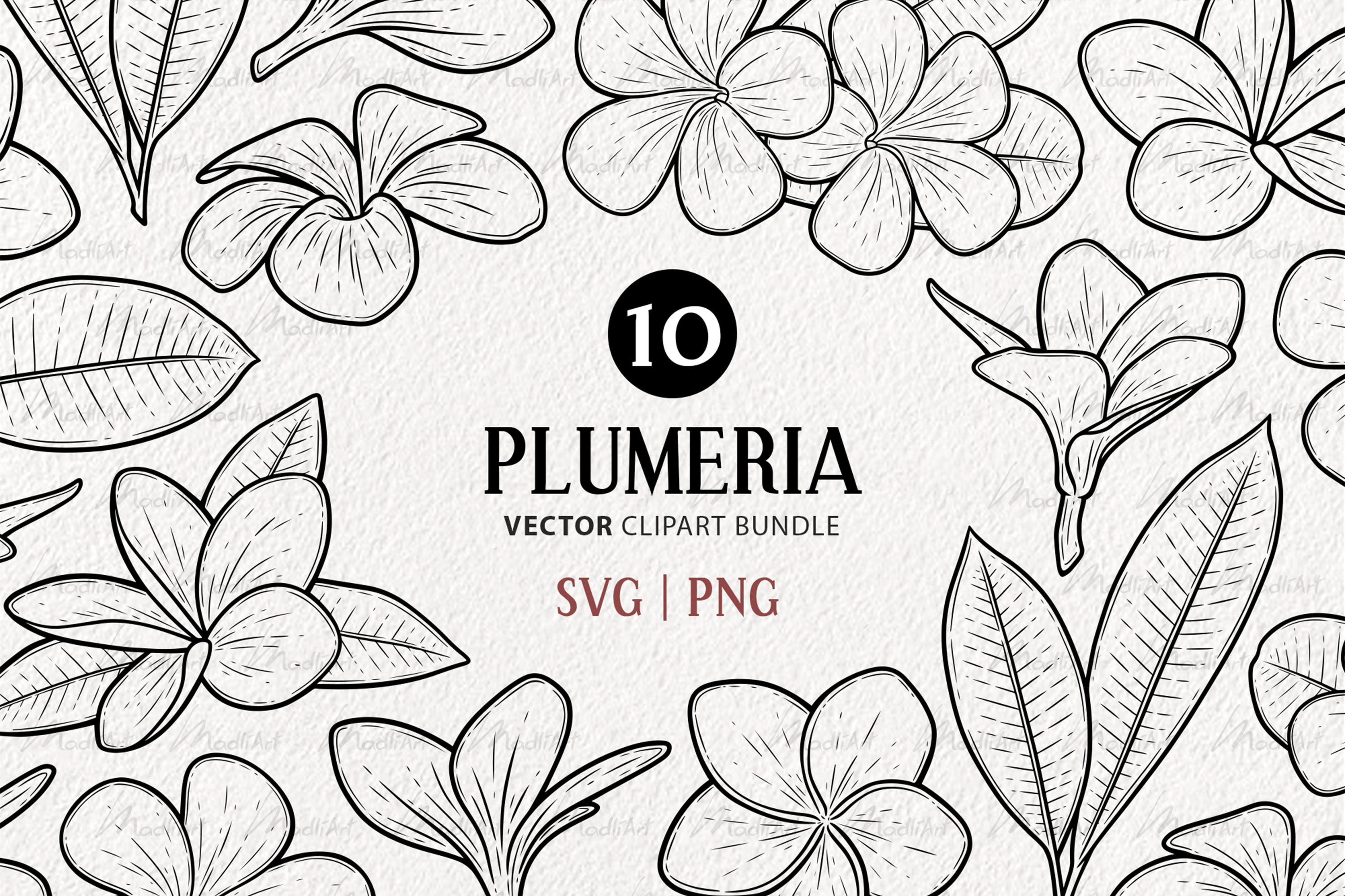 Plumeria Flower Vector Line Art Set, an Illustration by MadliArt