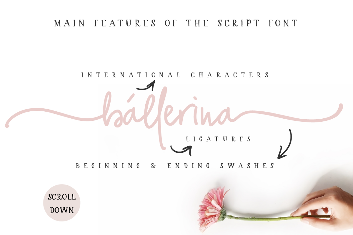 Glorious Font Duo + Extras - UPDATE!, a Script Font by Inky Jar Design ...