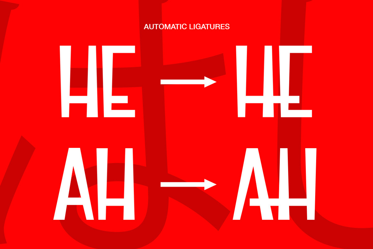 Hashi, a Font by TypeKatsu