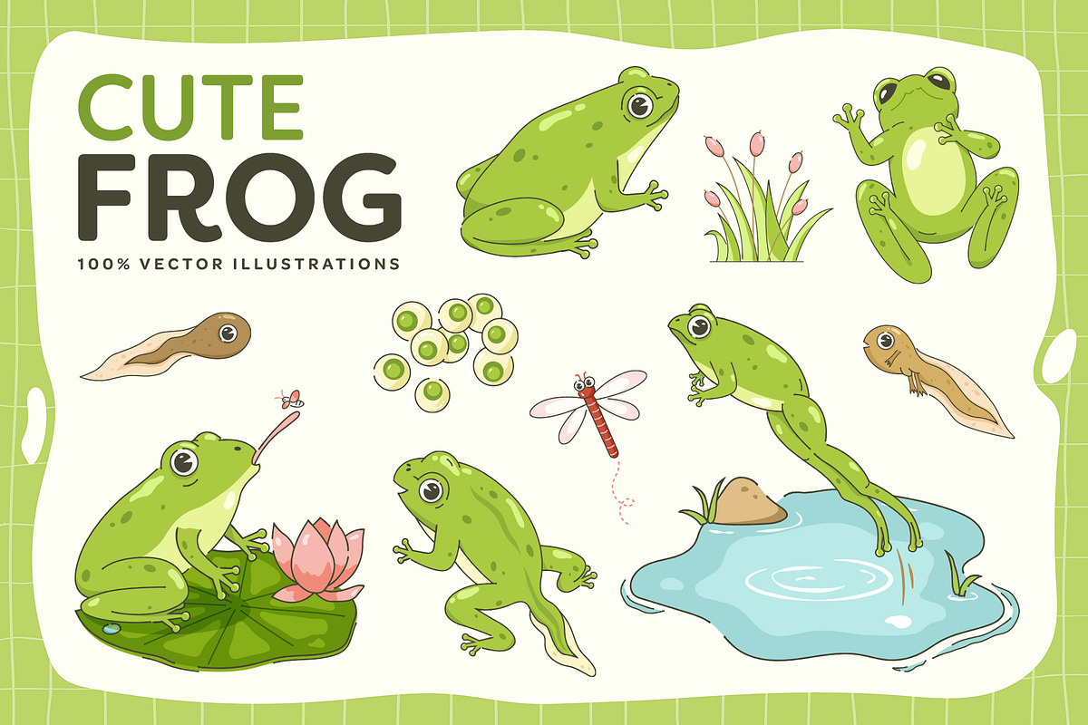 Frog Illustrations Set, an Object Graphic by DesignerCandies