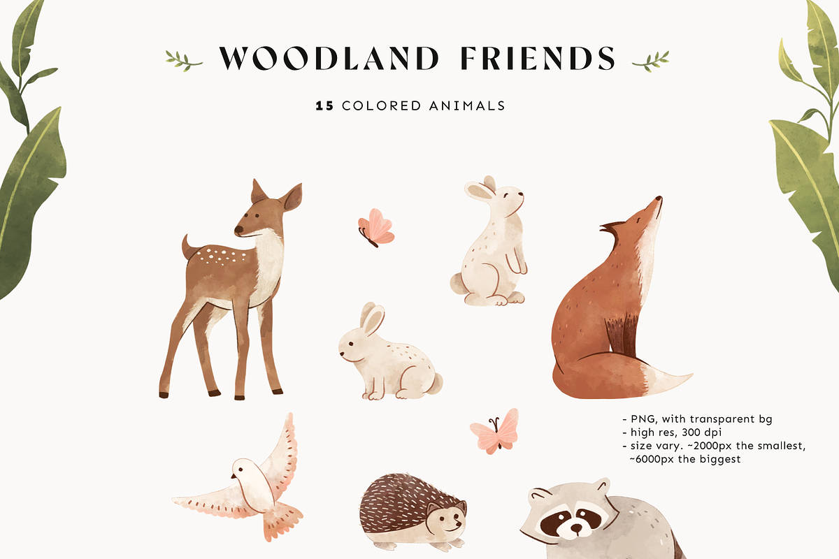 Woodland Animals: Watercolor & Outline