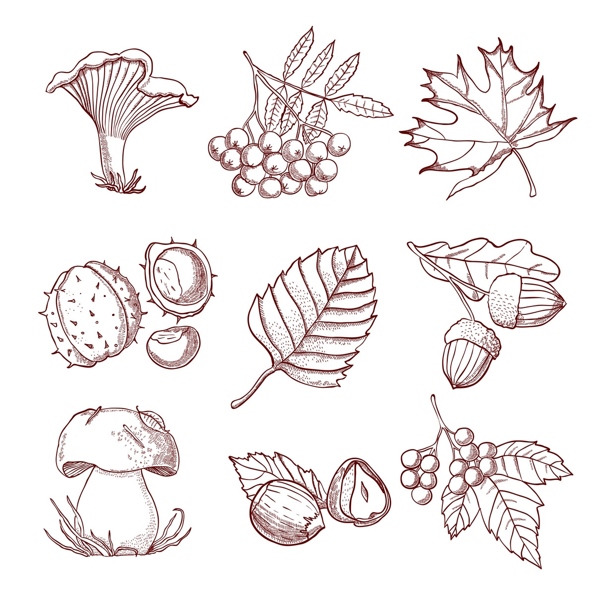Autumn hand drawn set, an Icon by Macrovector