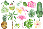 Watercolor Tropical set., an Illustration by Vivitta