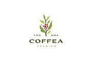 coffea coffee tree logo vector icon, a Branding & Logo Template by vastard