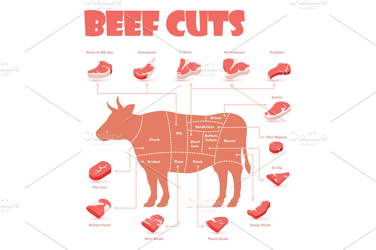 Vector beef cuts chart, an Icon by tele52