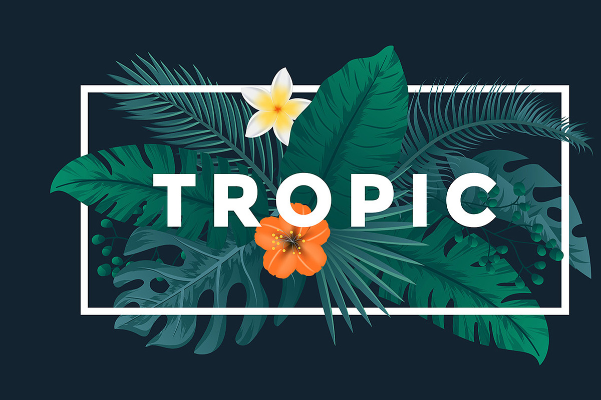 Tropical backgrounds, a Texture Illustration by Creative Graphics