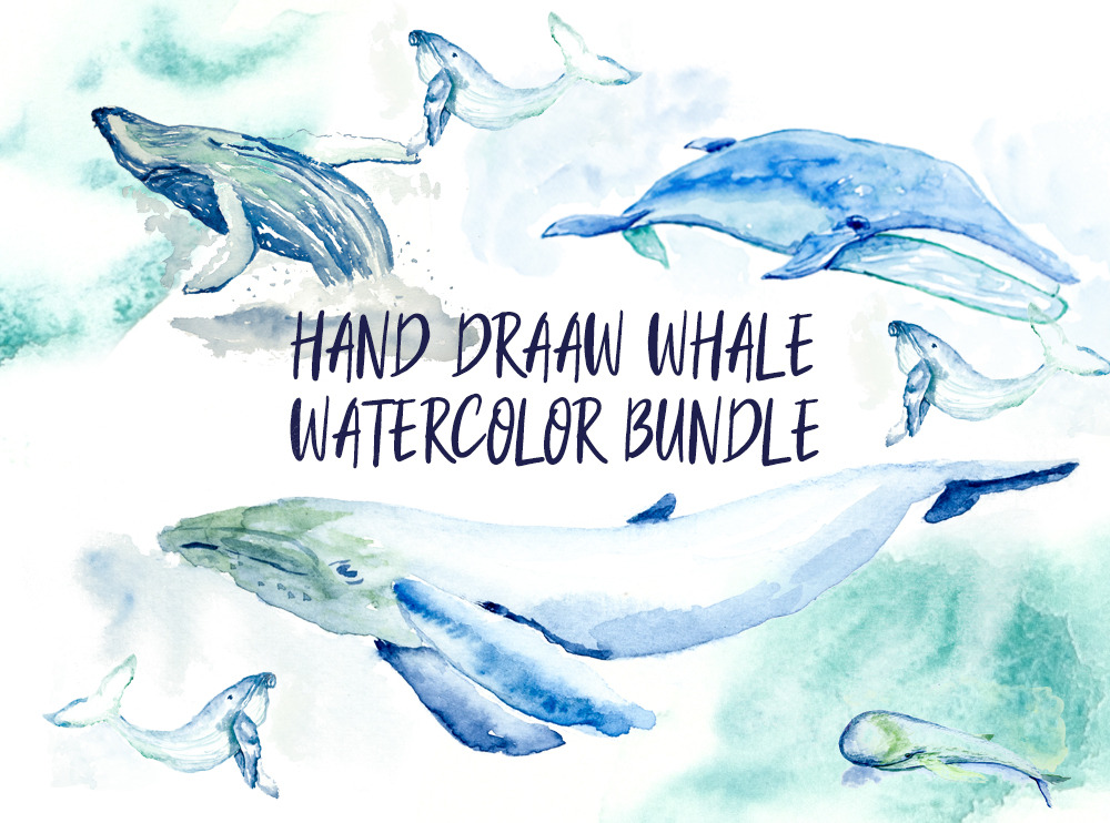 Hand-drawn watercolor whale bundle, an Object Graphic by Natsuhisui