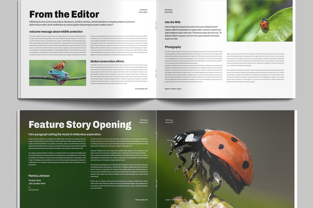 Wildlife Magazine Template