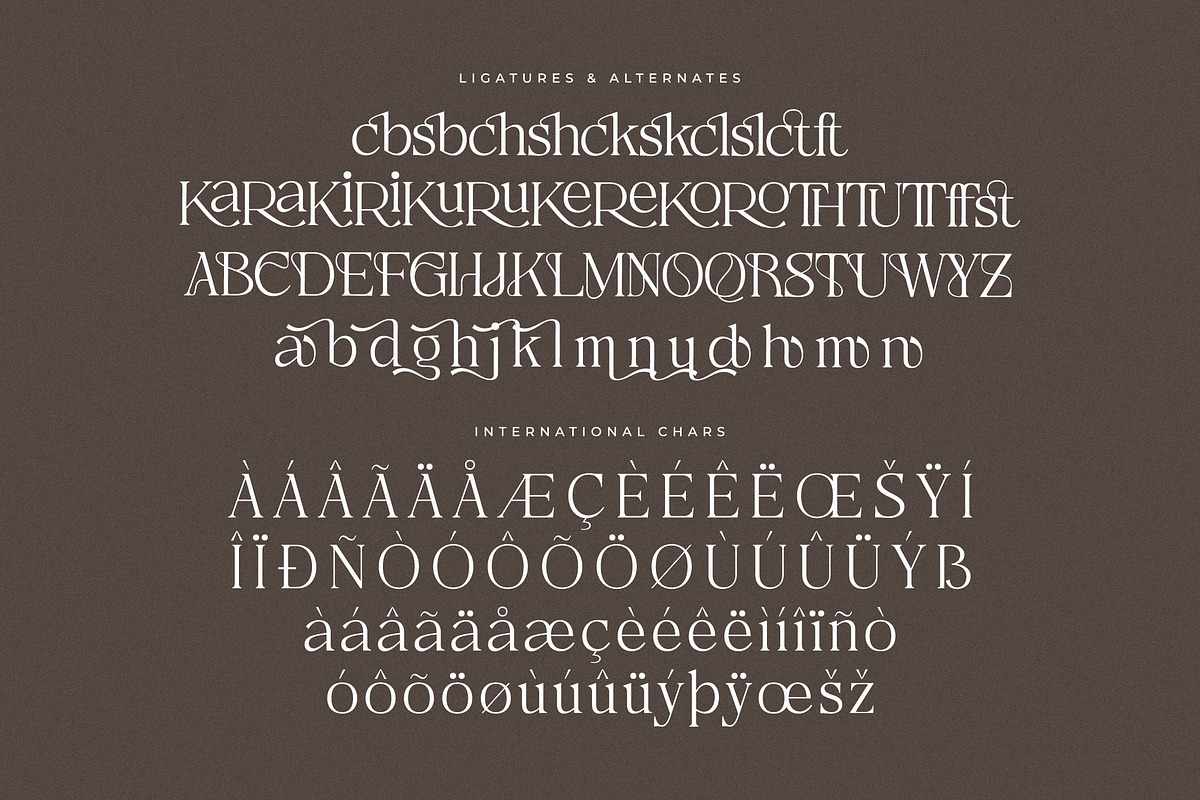 Metrolin Modern Serif Font, a Serif Font by Storytype Studio