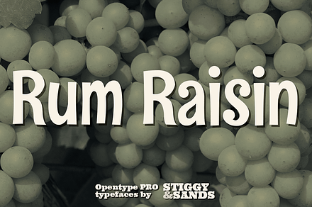 Risque Pro, a Font by Stiggy & Sands
