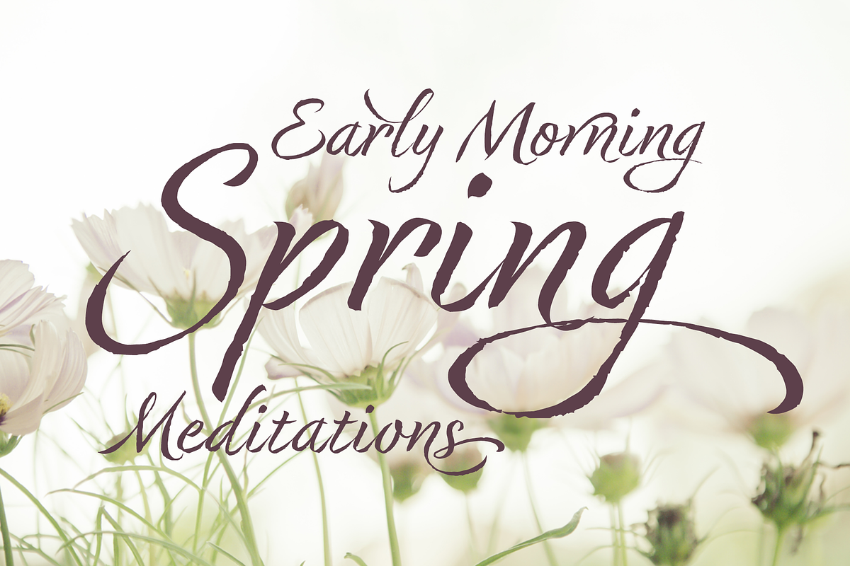 Dream Big Script Typeface, a Script Font by Positype