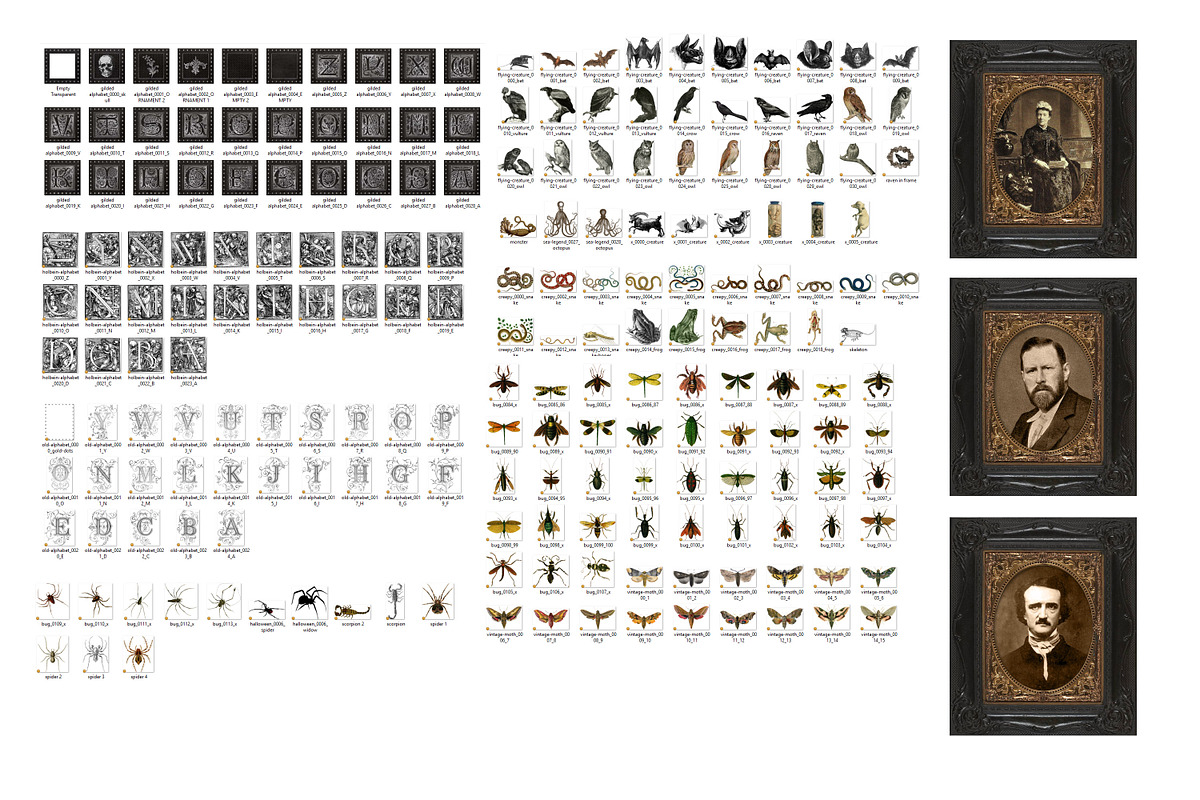 The Horror Ephemera Bundle, an Illustration by Digital Curio | Creative ...
