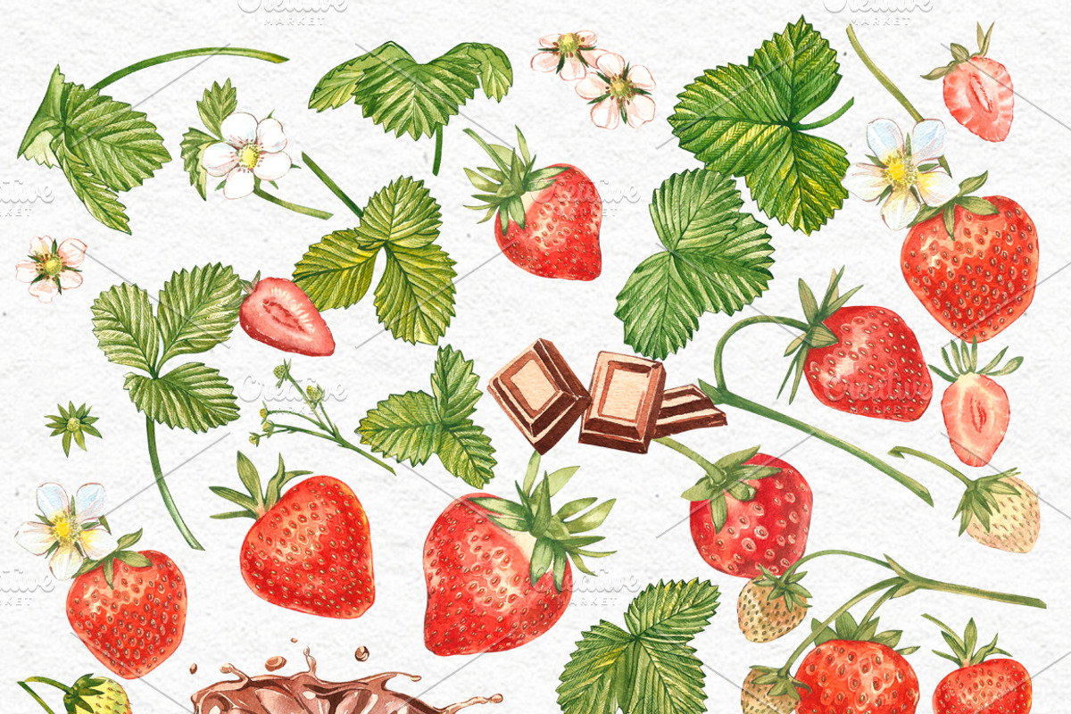 Strawberry illustrations, a Food Illustration by Ann Astro