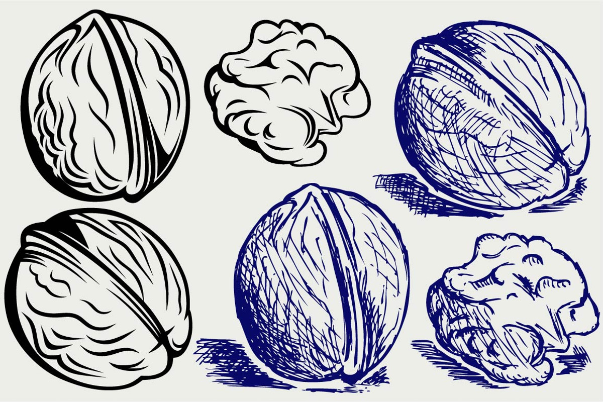 Several walnuts SVG, an Outline Icon by LineworkStock