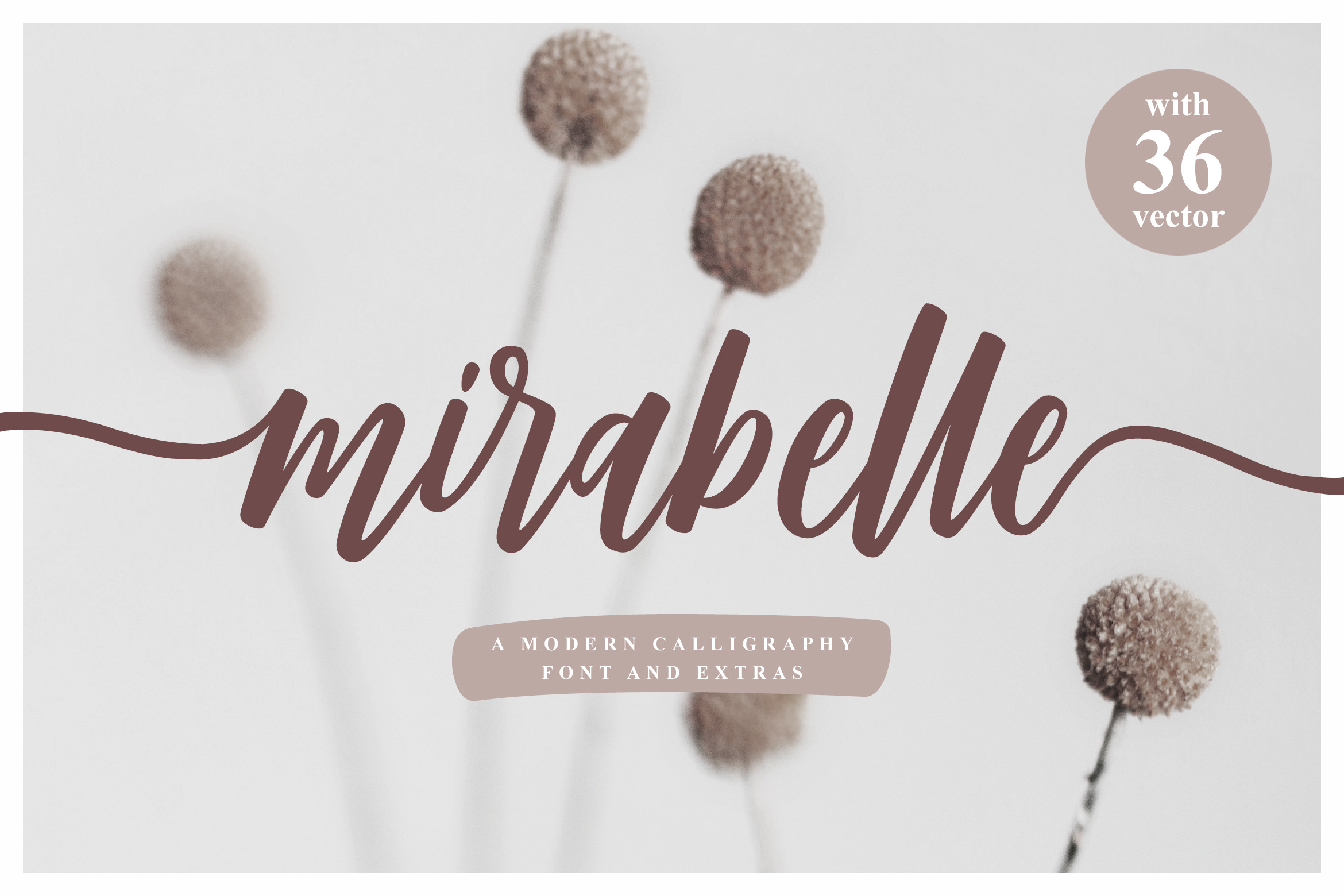 Mirabelle - Modern Script + Extras, a Script Font by Typehand Studio
