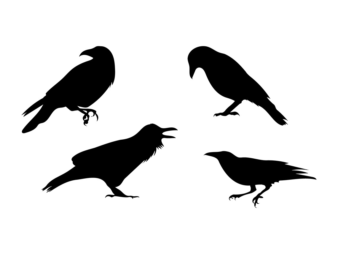 Raven Bundle SVG, an Animal Illustration by GeorgeKhelashvili