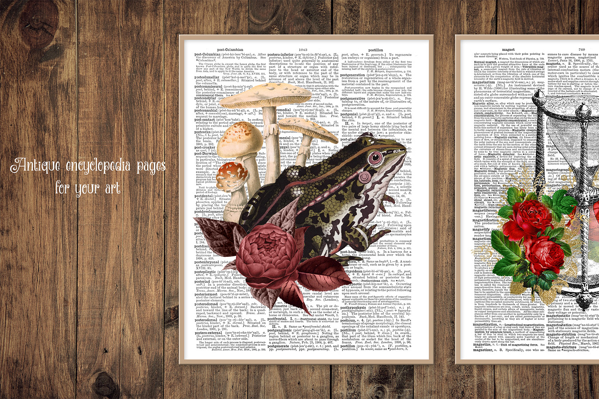 Antique Encyclopedia Pages, a Texture Graphic by Digital Curio