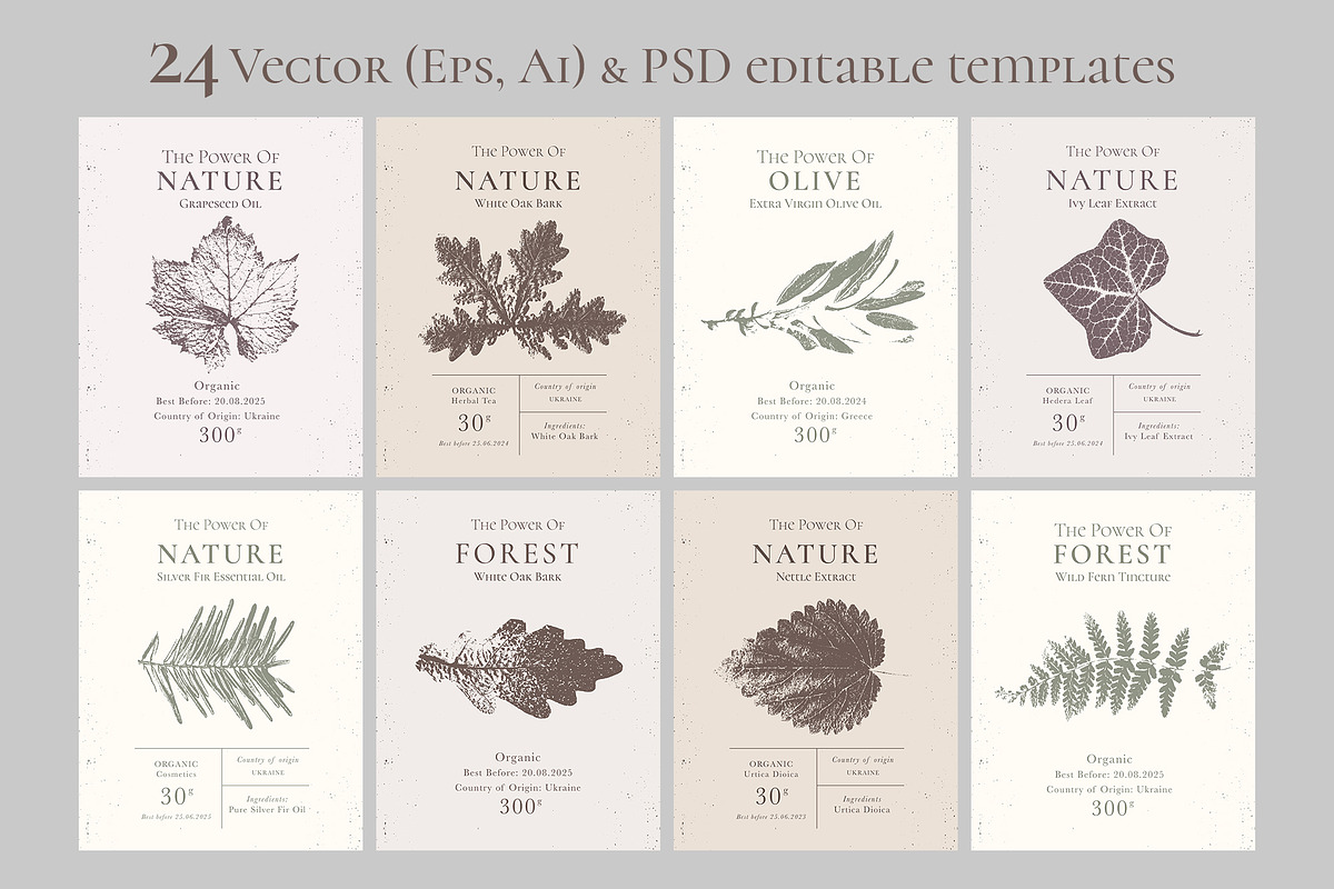 Herbal Design Kit: Vector & PSD, a Templates & Theme by Lumitar