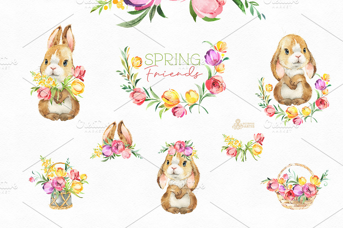 Spring Friends. Watercolor Set, an Animal Illustration by OctopusArtis