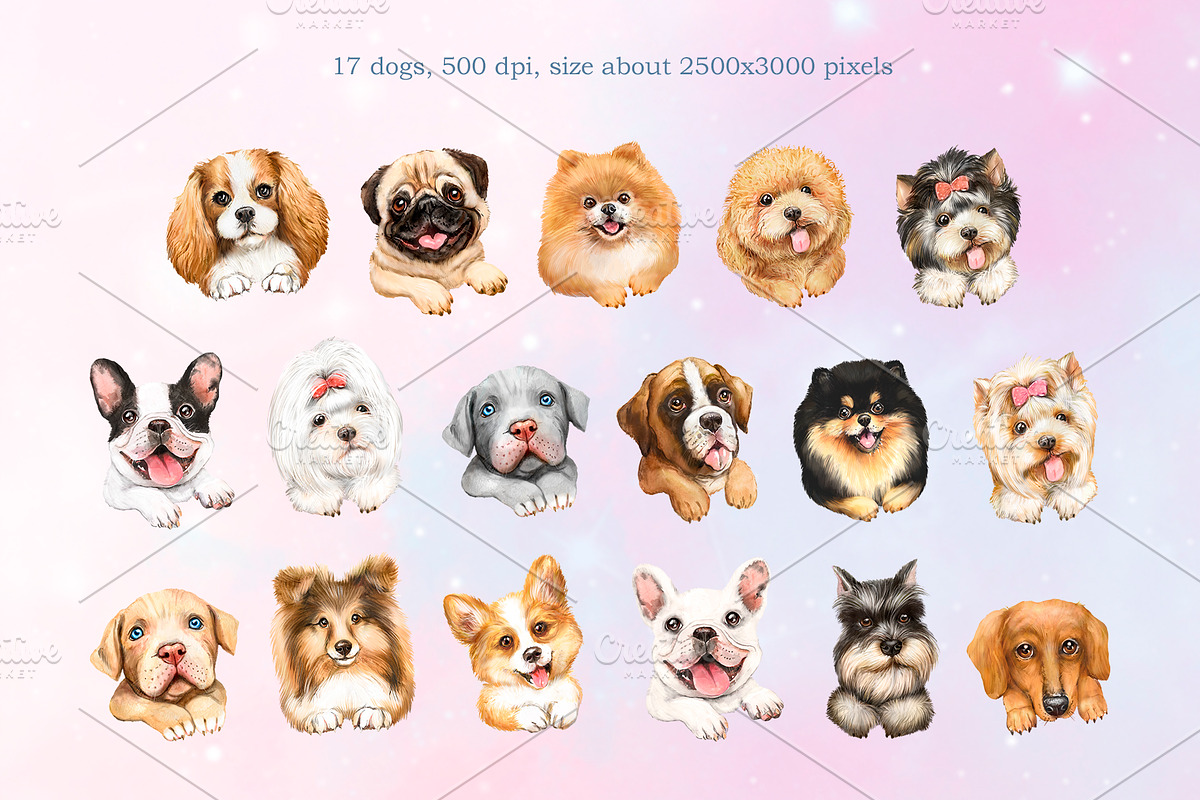 Dog breeds. Clipart for dog lovers., an Illustration by SavinV